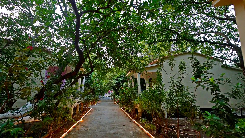 About – Gir Garjna – The Cottage